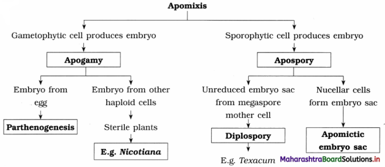 Maharashtra Board Class 12 Biology Important Questions Chapter 1 ...
