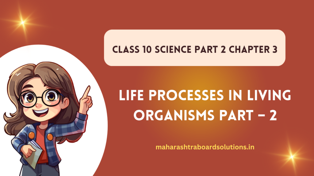 Life Processes in Living Organisms Part – 2 Class 10 Questions And ...