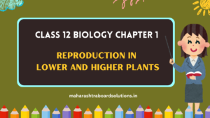 12th Biology Chapter 1 Exercise Reproduction in Lower and Higher Plants ...