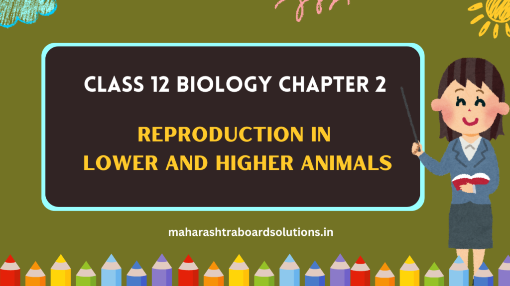 12th Biology Chapter 2 Exercise Reproduction in Lower and Higher ...
