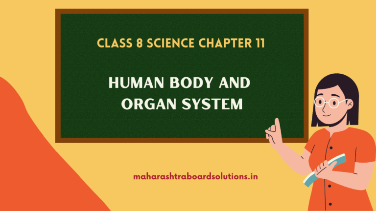 Human Body and Organ System Class 8 Science Chapter 11 Questions And ...